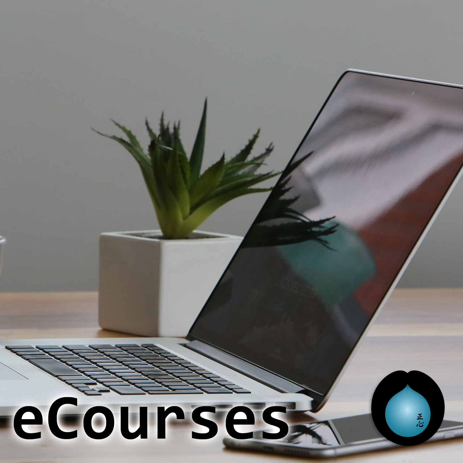 Workshops Online – Cheng Hsin